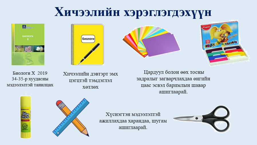 Мэдлээ Цахим контент